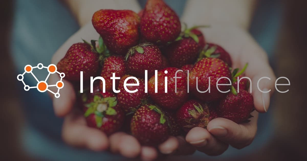 Organic Lifestyle Influencers | Intellifluence